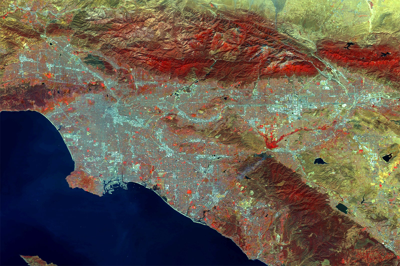 Alex Merkovic - Regional GIS and surveillance systems advisor Action Contre La Faim | PROBA-V